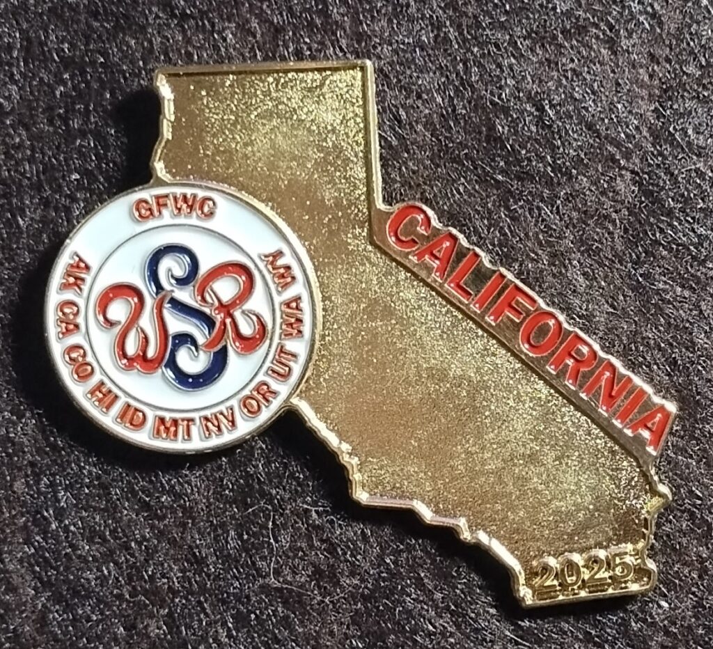 Western States Region Conference 2025 Commemorative Pin, Gold ...